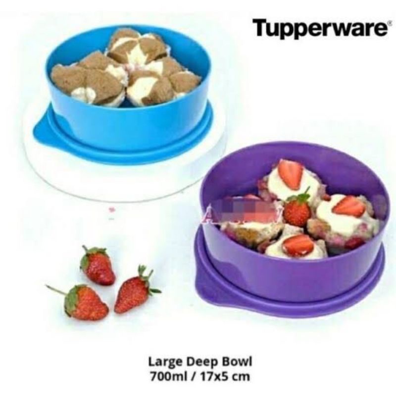 Jual TUPPERWARE - Lunch Box (1pcs) | Shopee Indonesia