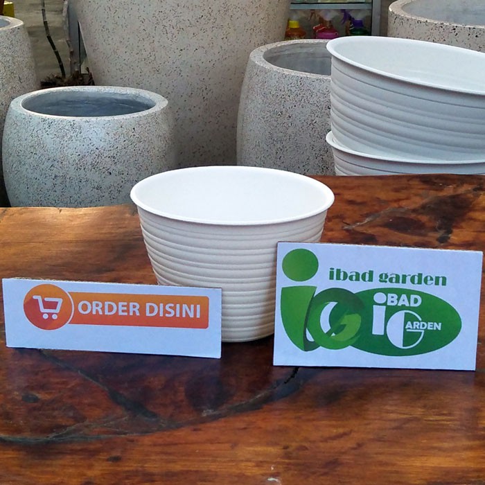 Jual Pot plastik putih tawon ukuran 12cm UNTUK TANAMAN HIAS ATAU BUNGA ...