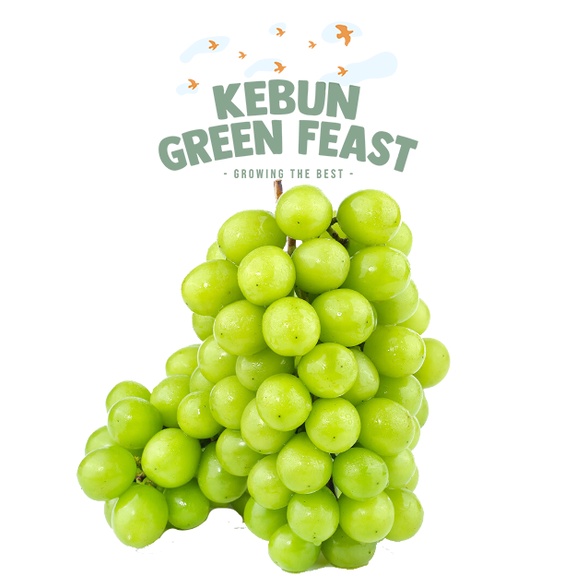 Jual Anggur Muscat Premium 1kg - Shine muscat Import | Shopee Indonesia