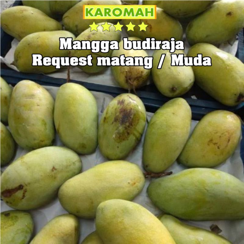 Jual BUAH MANGGA BUDIRAJA | buah mangga manis | buah mangga rujak ...