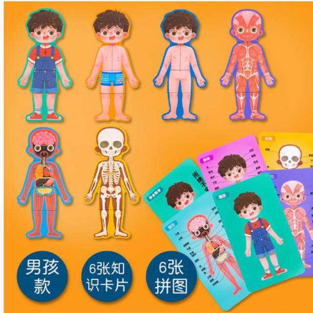 Jual Human Body | Shopee Indonesia