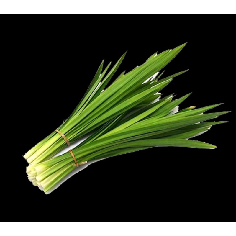 Jual Daun Pandan | Shopee Indonesia