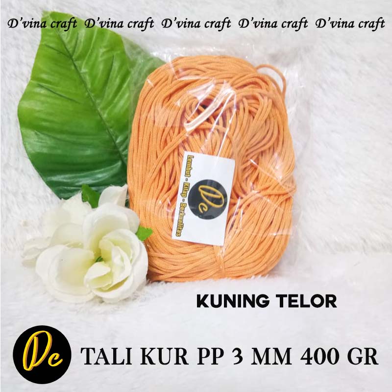 Jual TALI KUR 3 mm 400 GR, Tali Tas PAPER BAG 3 mm 400 gr | Shopee ...