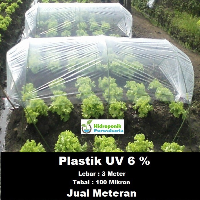 Jual Plastik UV Sungkup Pesemaian Persemaian Pembibitan Meteran UV 6 ...
