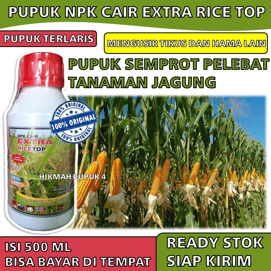 Jual PUPUK NPK CAIR EXTRA RICETOP 500 ML Pupuk Semprot Pelebat Tanaman Jagung - Pupuk Perangsang ...