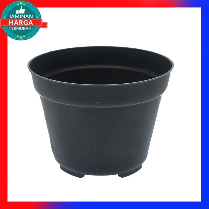Jual POT BUNGA SIMBA 40CM(6PCS) | Shopee Indonesia
