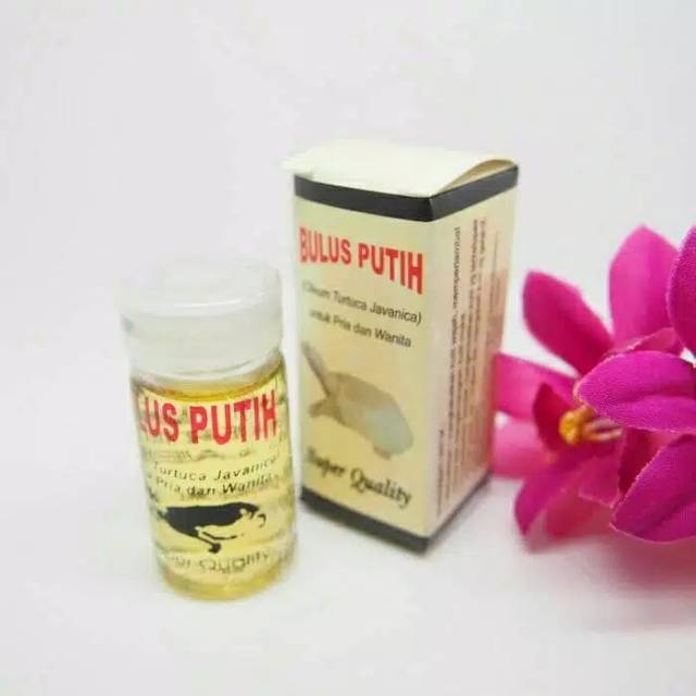 Jual Minyak bulus original kemasan dus/box | Shopee Indonesia