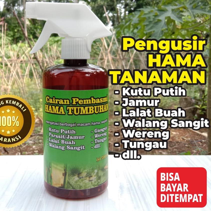 Jual Kekinian bogorfarm PENGUSIR & PEMBASMI HAMA TUMBUHAN 500ml Plant ...