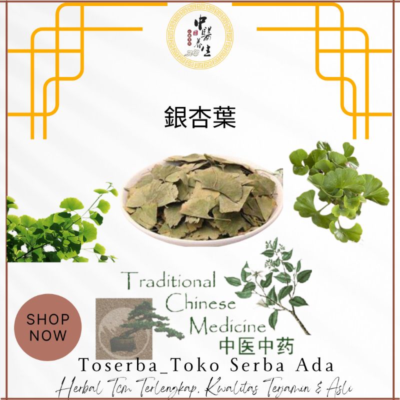 Jual 1kg Herbal Yin Xing Ye 銀杏葉 Teh Ginkgo Daun Ginkgo Biloba Tea Daun ...