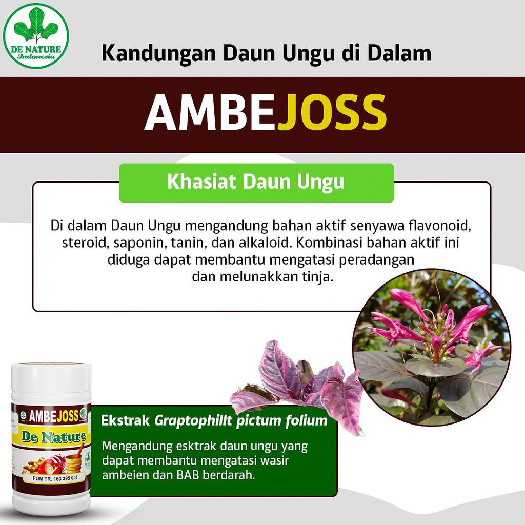 Jual Obat Wasir Atau Ambien Herbal Ambe Joss Dan Salwa De Nature ...