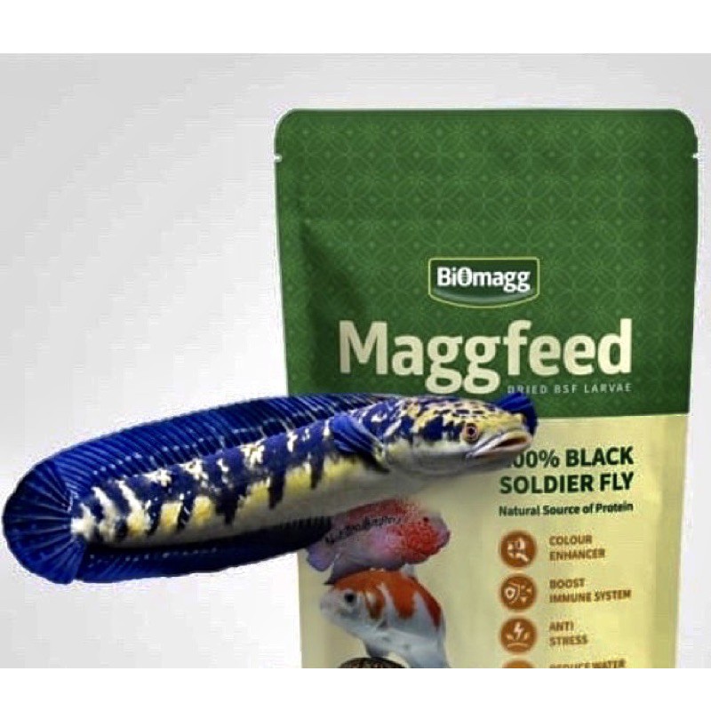 Jual Makanan Ikan Hias Predator dan Kura-kura Biomagg Maggfeed DRIED ...