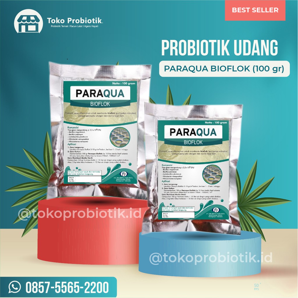 Jual Probiotik Udang PARAQUA BIOFLOK, Bantu Tingkatkan Hasil Budidaya ...