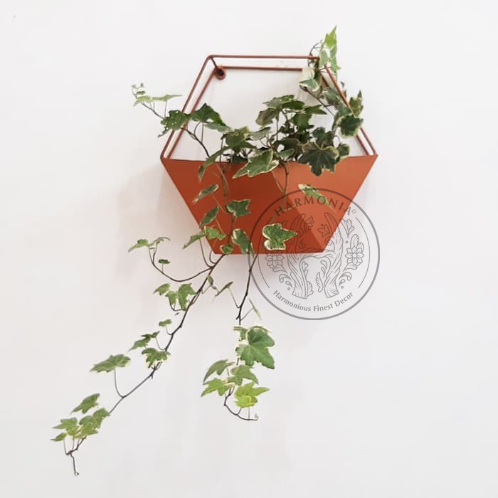 Jual Rak Pot Bunga Gantung Hexagon, Hiasan Dinding Hexagonal Tembaga ...