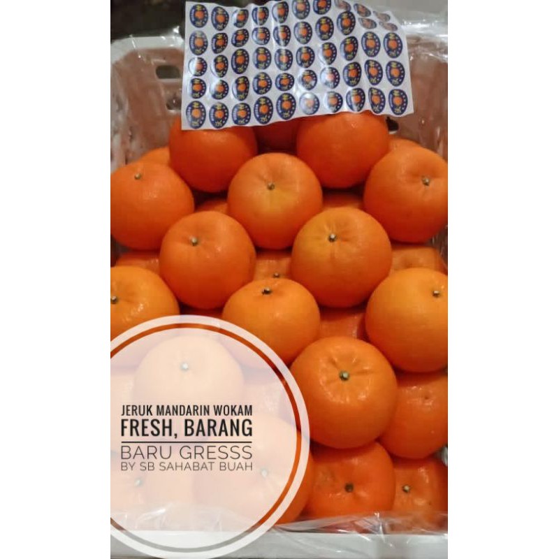 Jual BUAH JERUK MANDARIN WOKAM FRESH JERUK WOGAN MANIS JUICY GROSIR 1 ...