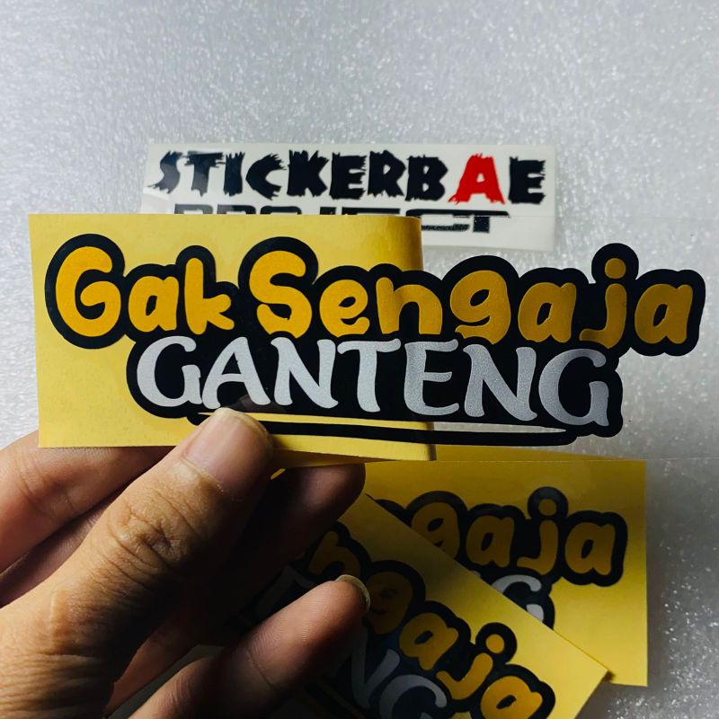 Jual Stiker gak sengaja ganteng cuting sticker 1pcs | Shopee Indonesia