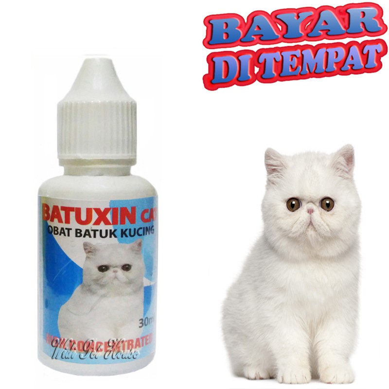 Jual OBAT BATUK KUCING BATUXIN CAT SAKIT PERNAPASAN PILEK FLU | Shopee ...