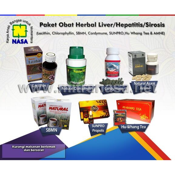 Jual Paket Obat Herbal Liver Hepatitis Sirosis NASA Efektif | Shopee ...