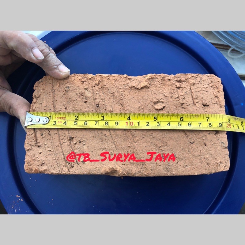 Jual BATA MERAH PRESS JUMBO PER SATUAN | Shopee Indonesia