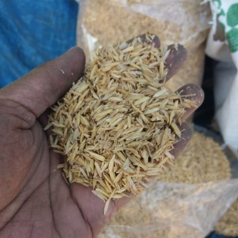 Jual media tanam sekam kulit padi 1kg-sekam mentah kulit padi 1kg ...