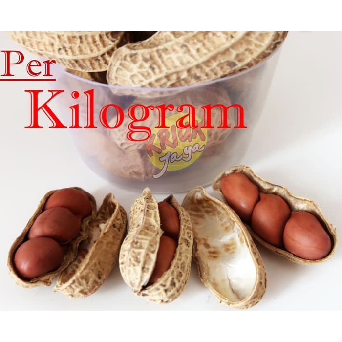 Jual SPESIAL Kacang KULIT Sangrai SUPER ( KILOAN / CURAH ) | Shopee ...