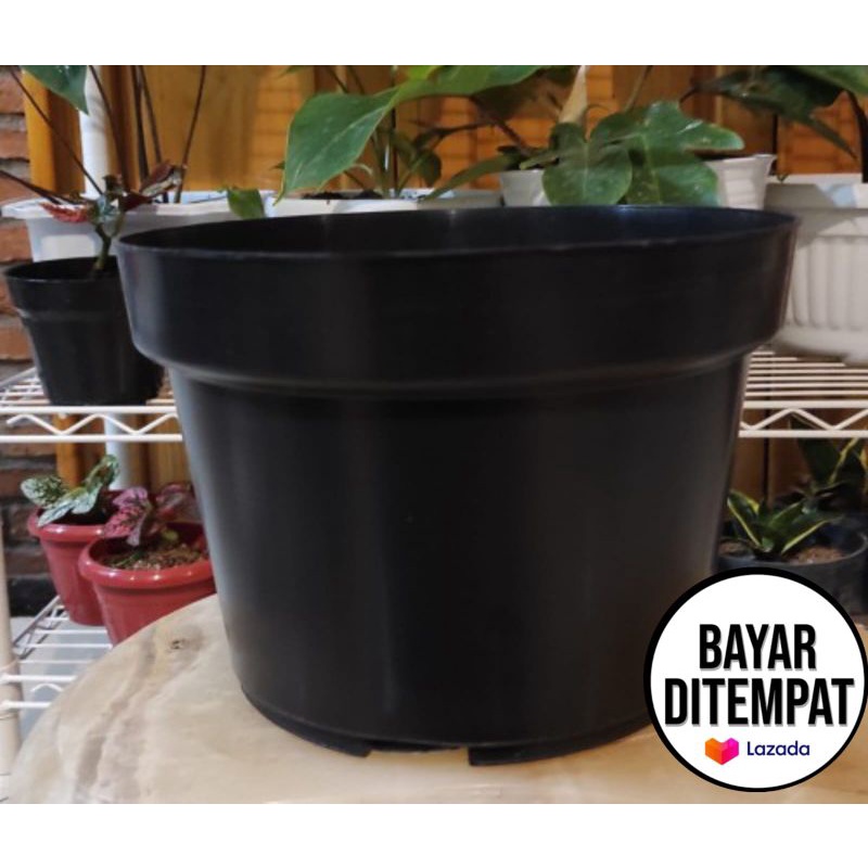 Jual POT JUMBO UKURAN 30 | Shopee Indonesia