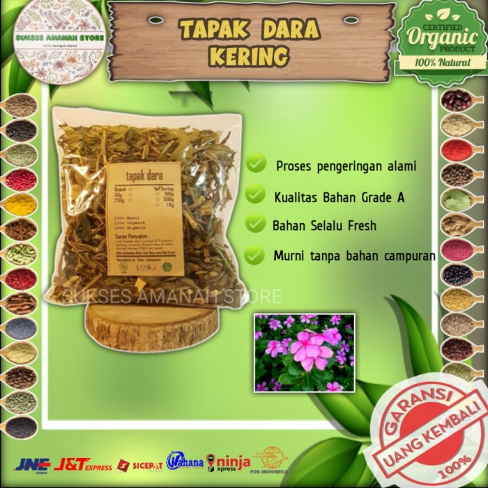 Jual Daun Tapak Tlapak Dara Doro Kering 1 Kg Herbal Catharanthus Roseus ...