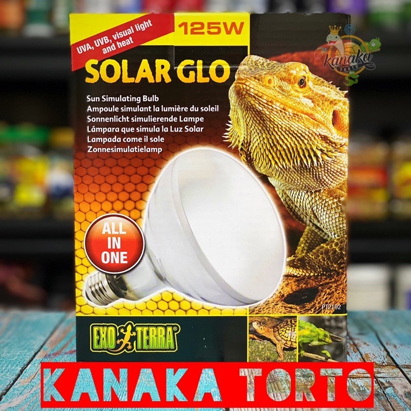 Jual Exoterra Solar Glo 125 Watt Lampu Uva Uvb Reptil Kura Kadal Torto Sulcata Pardalis Aldabra ...