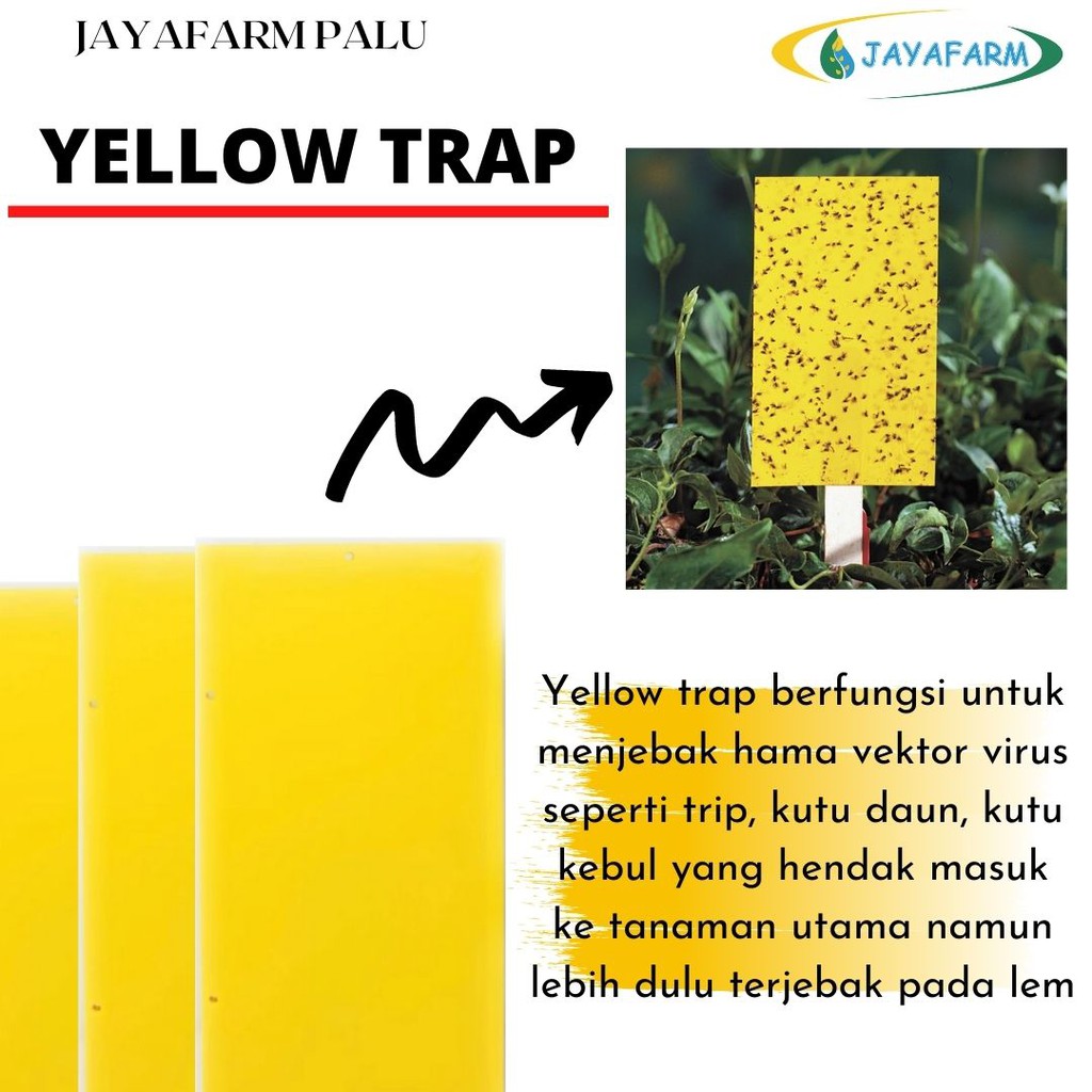 Jual YELLOW TRAPS | Shopee Indonesia