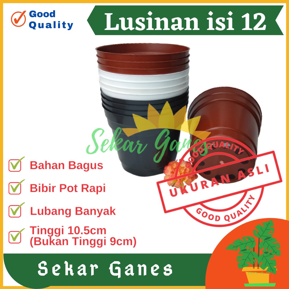 Jual LUSINAN 12PCS Pot 12 Cm Putih Hitam Merah Bata Merah Coklat ...