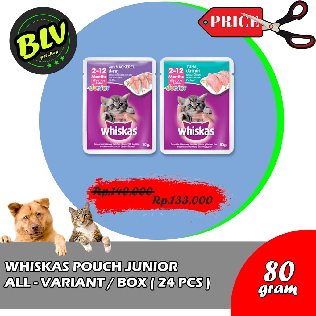 Jual Whiskas pouch junior 80gr all variant / box | Shopee Indonesia