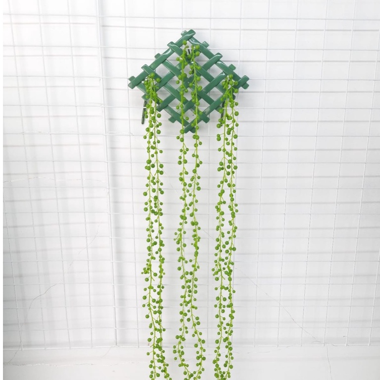 Jual TANAMAN PLASTIK SUKULEN GANTUNG PILUS B8274 DEKORASI RUMAH CAFE KANTOR | Shopee Indonesia