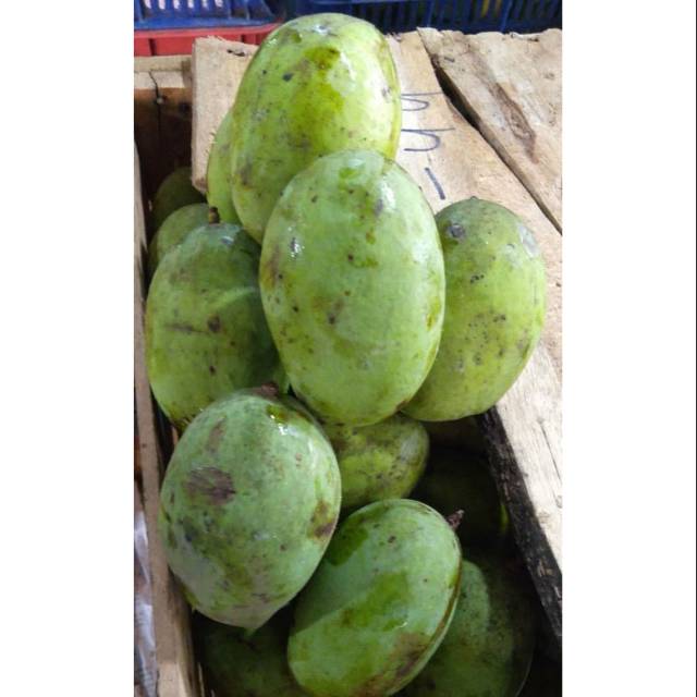 Jual Buah mangga kaweni 1kg|buah segar bandung|nuri fruits|buah bandung ...