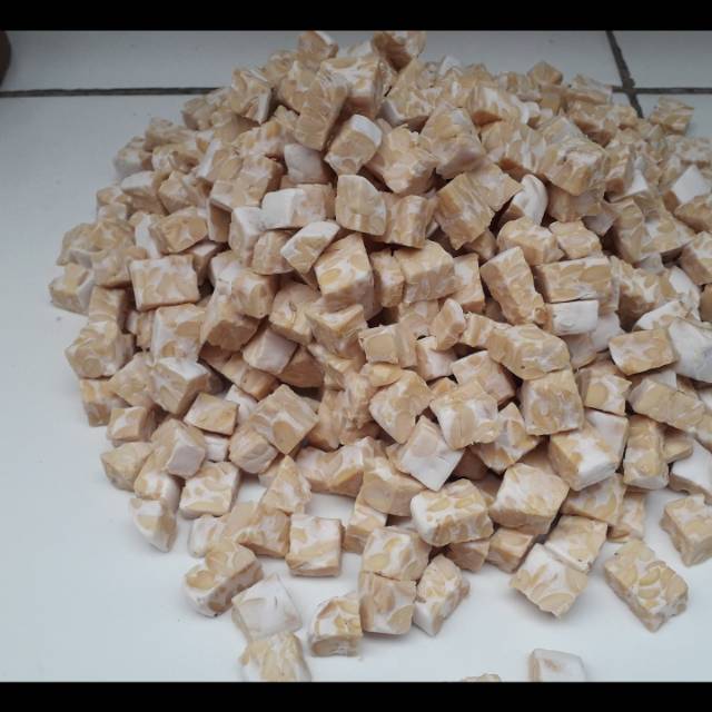 Jual TEMPE OREG DADU /1 potong besar | Shopee Indonesia