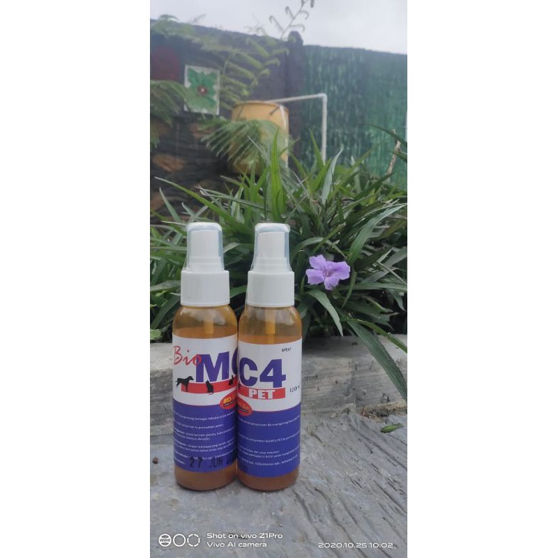 Jual Bio mc4 100ml tortoise kura-kura darat untuk pencernaan | Shopee ...