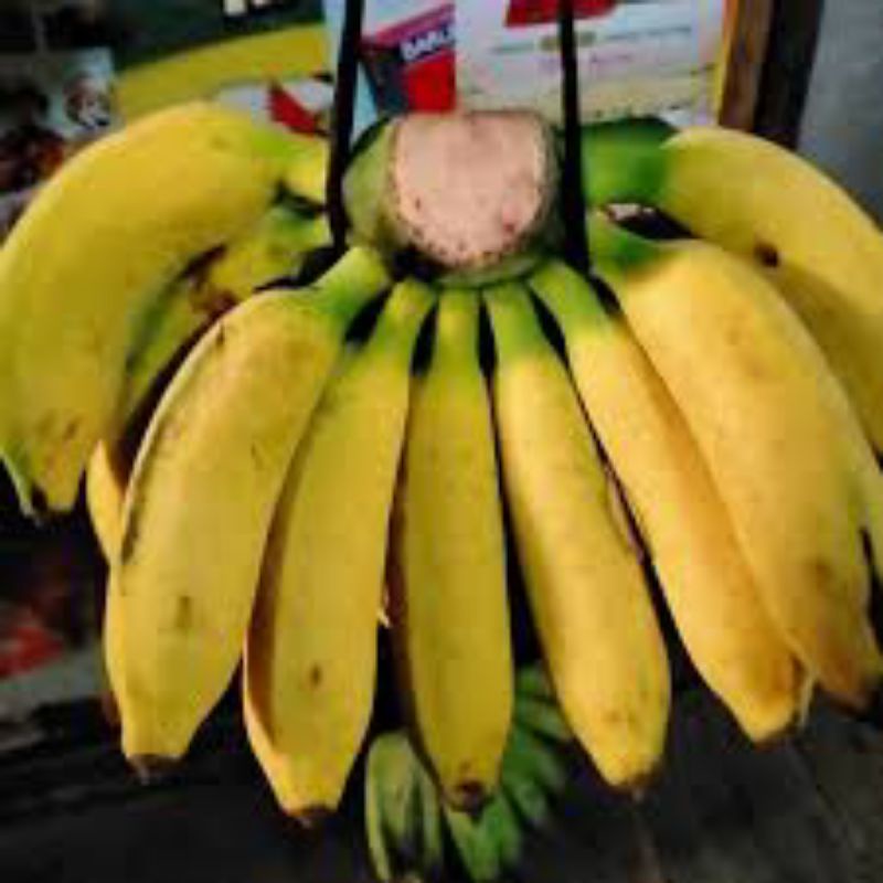 Jual Pisang Raja / Pisang raja bulu _ 1 sisir | Shopee Indonesia