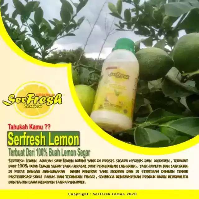 Jual SerFresh Lemon 100% Lemon Segar 500 ml | Shopee Indonesia