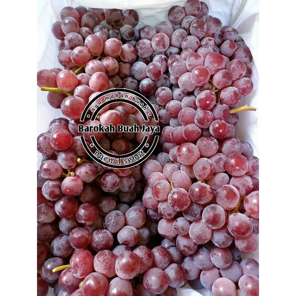 Jual BUAH ANGGUR RRC 500GRAM | Shopee Indonesia
