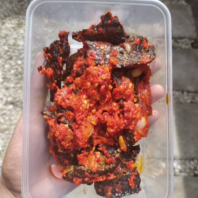 Jual PARU BALADO TERLARIS TERENAK(BISA VAKUM) | Shopee Indonesia