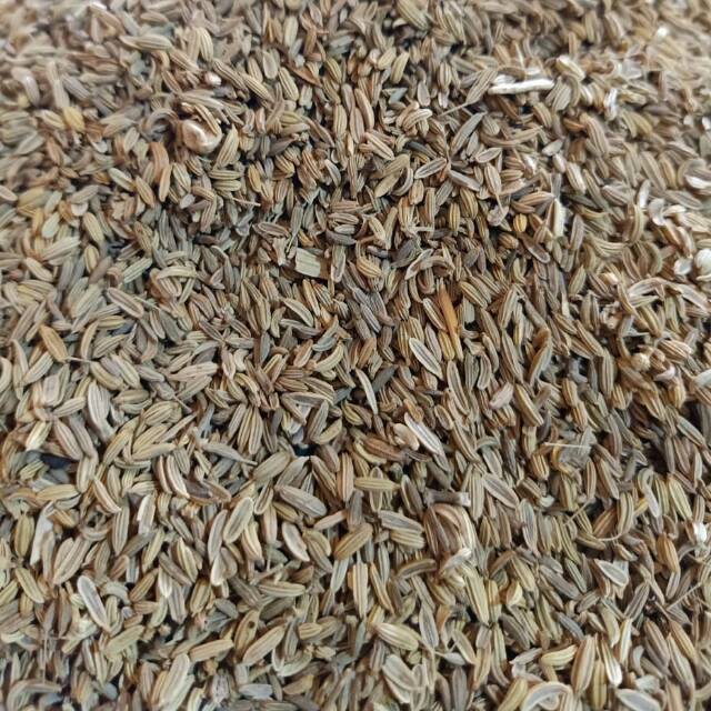 Jual Adas manis utuh, adas manis biji, fennel seed | Shopee Indonesia