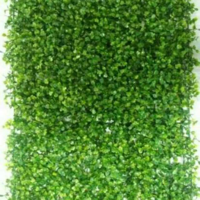 Jual promo!! Daun rambat tembok sintetis dolar 40x60cm - vertikal ...