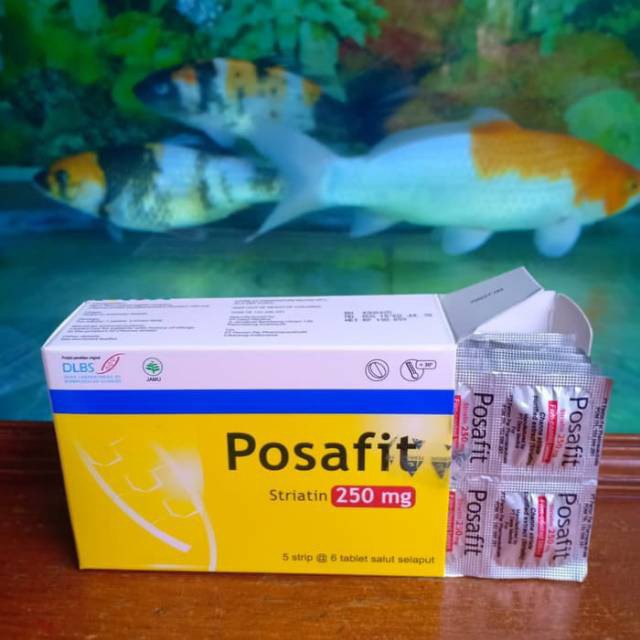 Jual POSAFIT 30 TABLET (NUTRISI ALBUMIN UNTUK MEMPERBAIKI STATUS ...