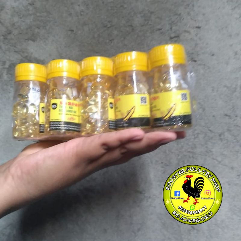 Jual Minyak Ikan - Tung Hai Fish Liver Oil kemasan botol/ekonomis ...