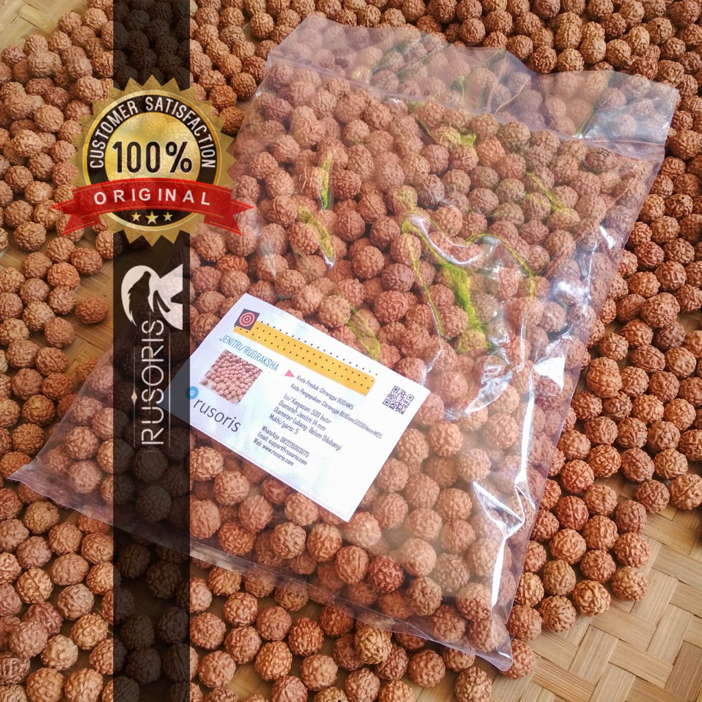 Jual Manik Manik Gelang 500butir Jenitri Rudraksha Genitri Bahan ...