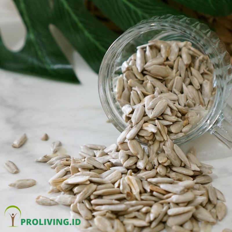 Jual ROASTED SUNFLOWER SEEDS/ KUACI PANGGANG 1 KG | Shopee Indonesia