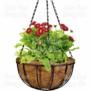 Jual Pot Bunga Gantung Serabut Kelapa Pot Besi Coconut Palm Pot Gantung ...