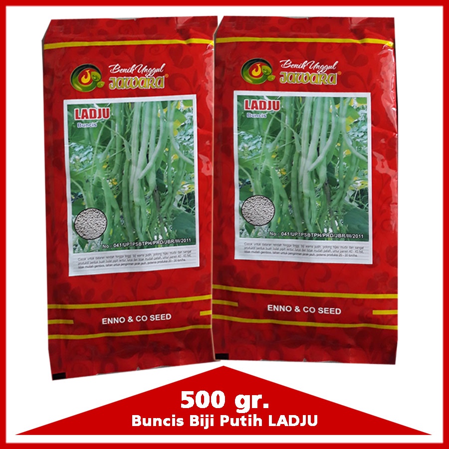 Jual Benih Unggul Buncis Biji Putih LADJU 500 gram - Bibit buncis ...