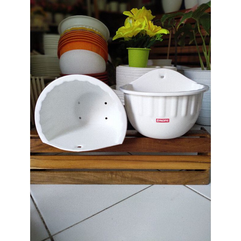 Jual Pot tempel /Pot dinding putih pacific 12 biji (1 lusin) | Shopee ...