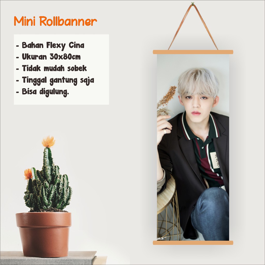 Jual Mini Roll Banner S.Coups Seventeen | Shopee Indonesia