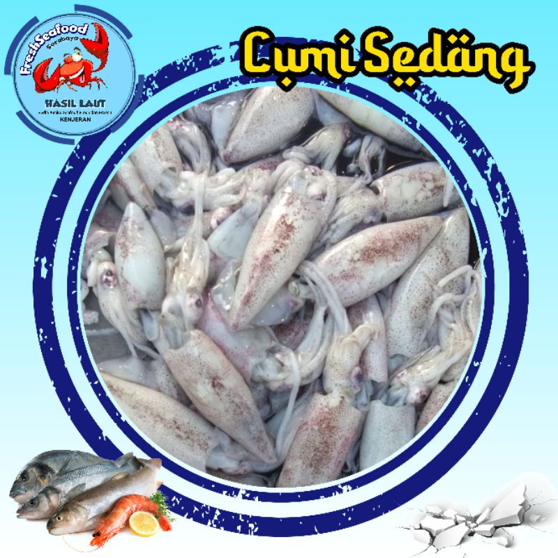 Jual CUMI CUMI SEDANG FRESH 1 kg | Shopee Indonesia