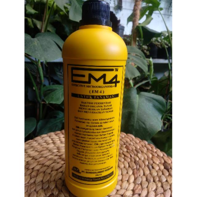 Jual EM4 / EM 4 1 ltr / EM 4 untuk tanaman | Shopee Indonesia